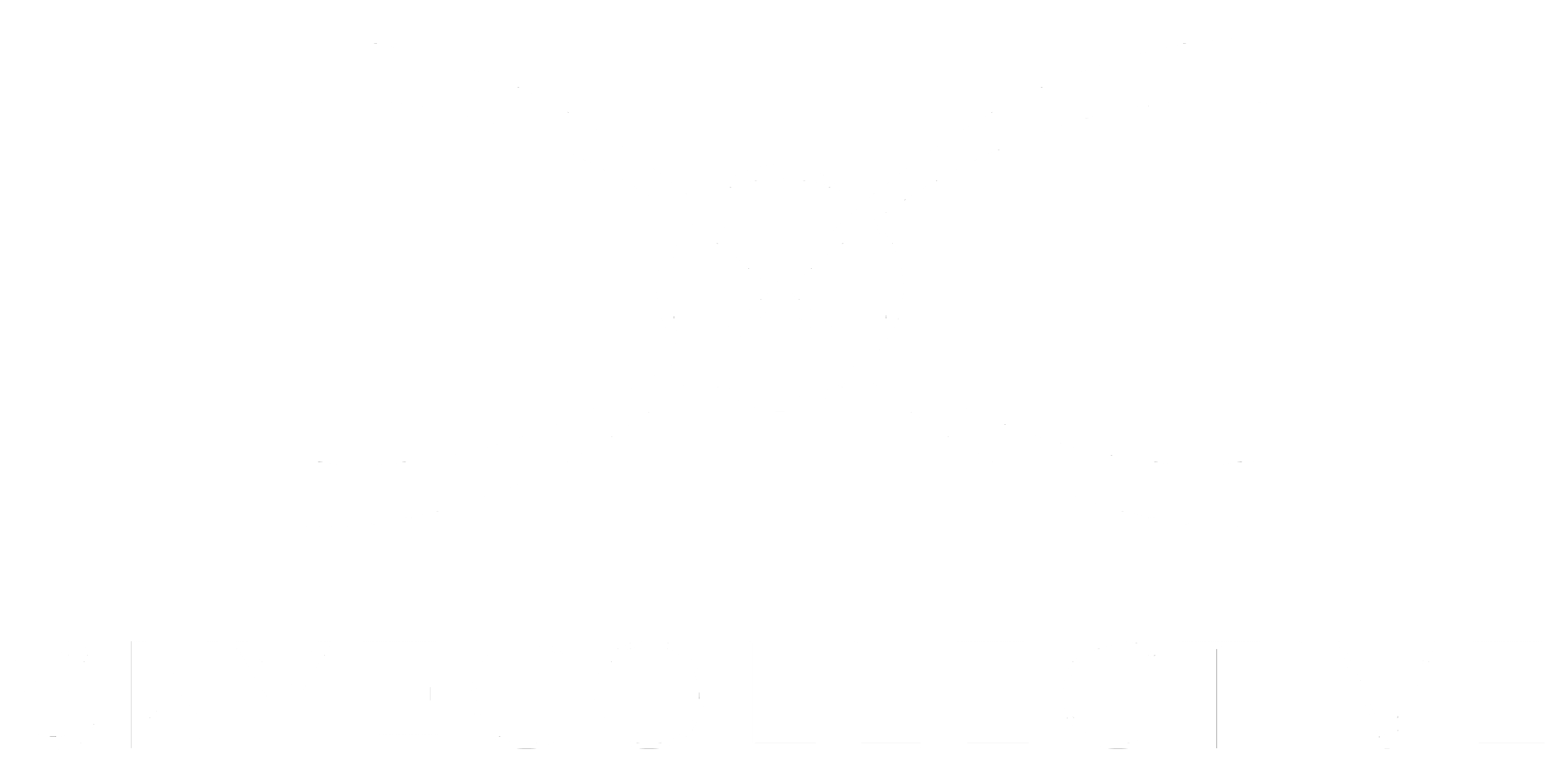 Login | Skye Collective